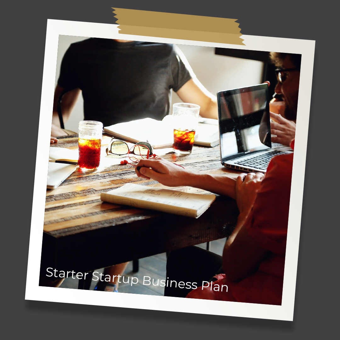 Starter Startup Business Plan – Action Plan Pro